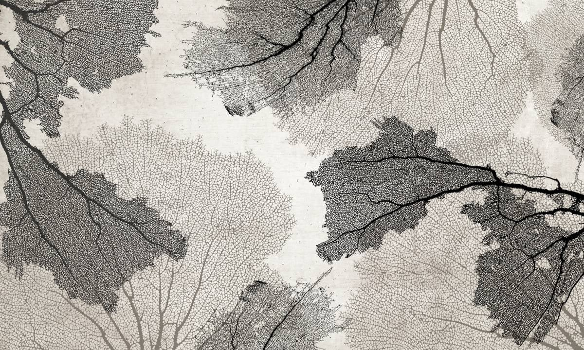 ORX 190584-1 – tapeta Boscarello Orexis One Wall Design One Wall Design – 340,00 zł | WallDecor.pl